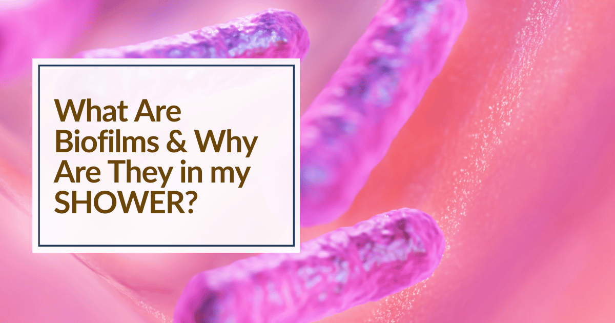 The Threat of Biofilms & Where They Lurk! - CBH Energetics