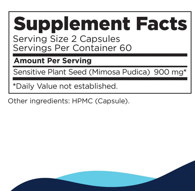 Para 1 (CellCore) - CBH Energetics
