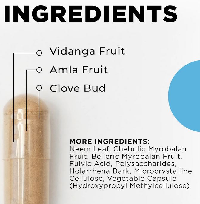 Para 2 (CellCore) - CBH Energetics