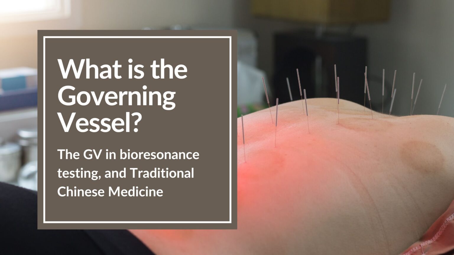 What is the Governing Vessel in TCM and Bioenergetic Testing? - CBH ...