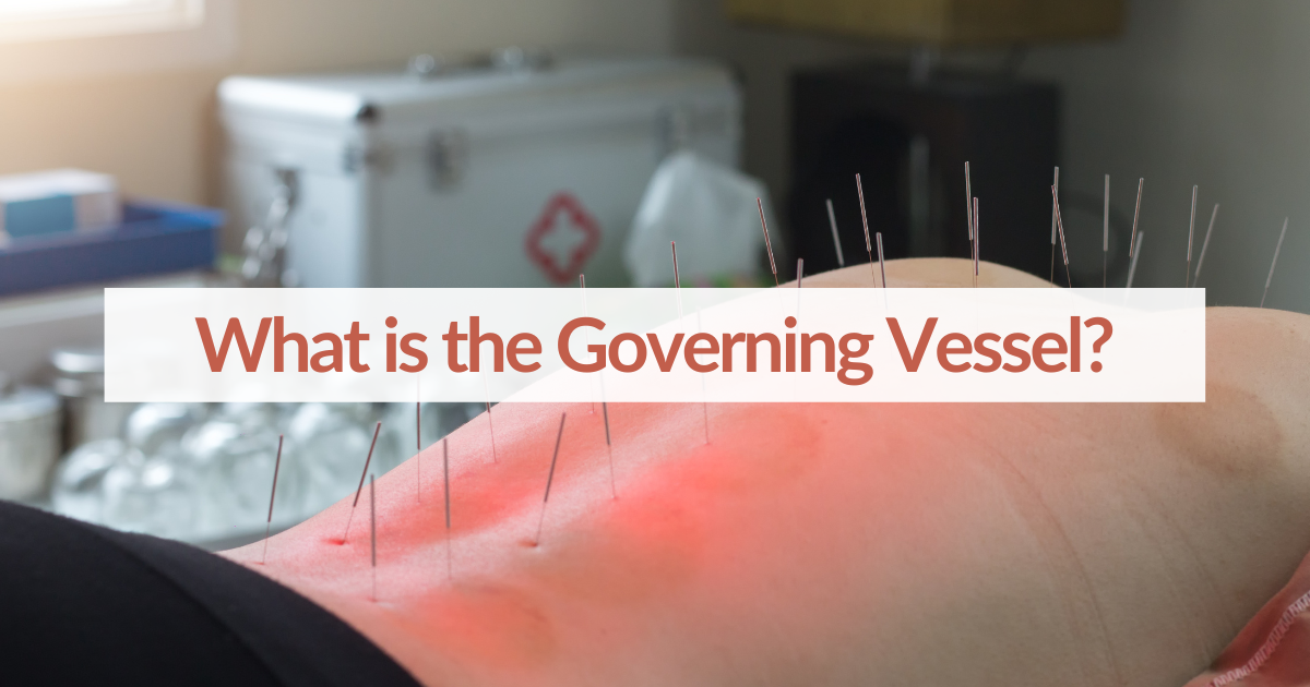 What is the Governing Vessel in TCM and Bioenergetic Testing? - CBH ...
