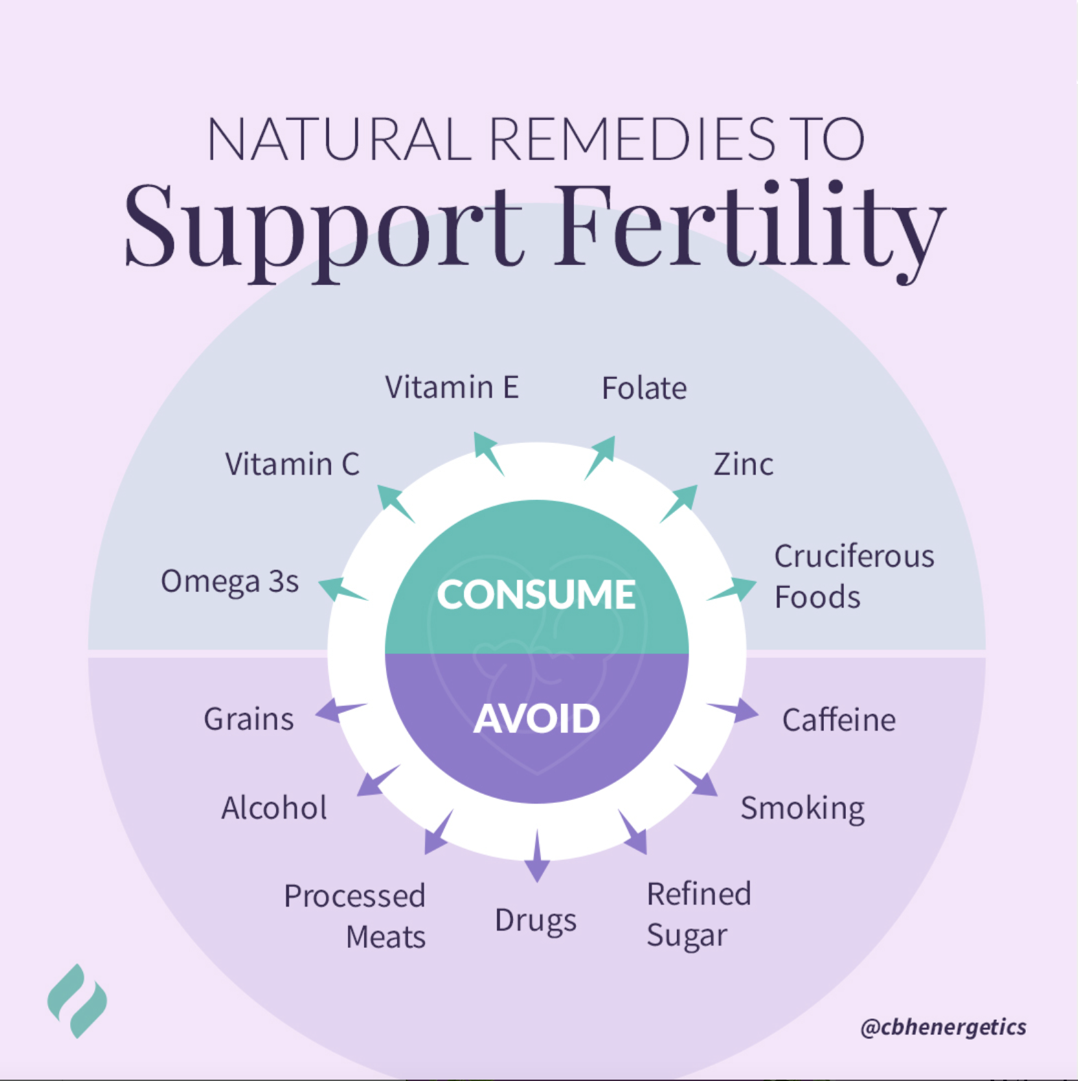 How a Fertility Detox Can Support Preconception Health - CBH Energetics