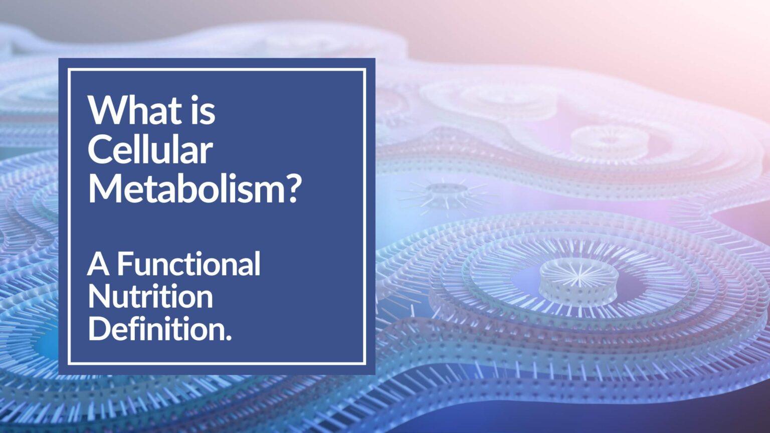 What is Cellular Metabolism? - CBH Energetics