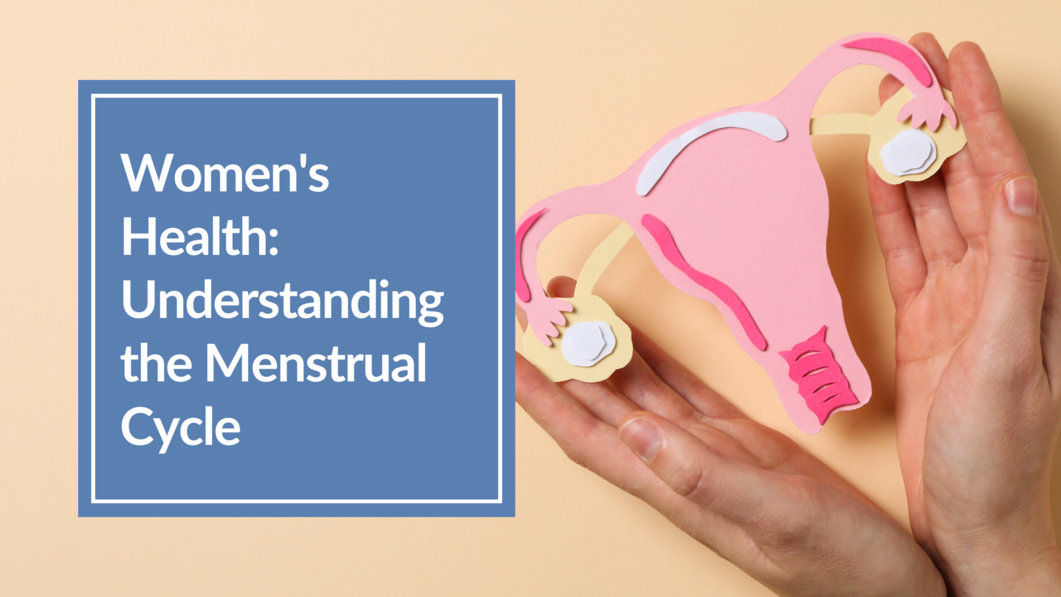Women's Health: Understanding the Menstrual Cycle - CBH Energetics