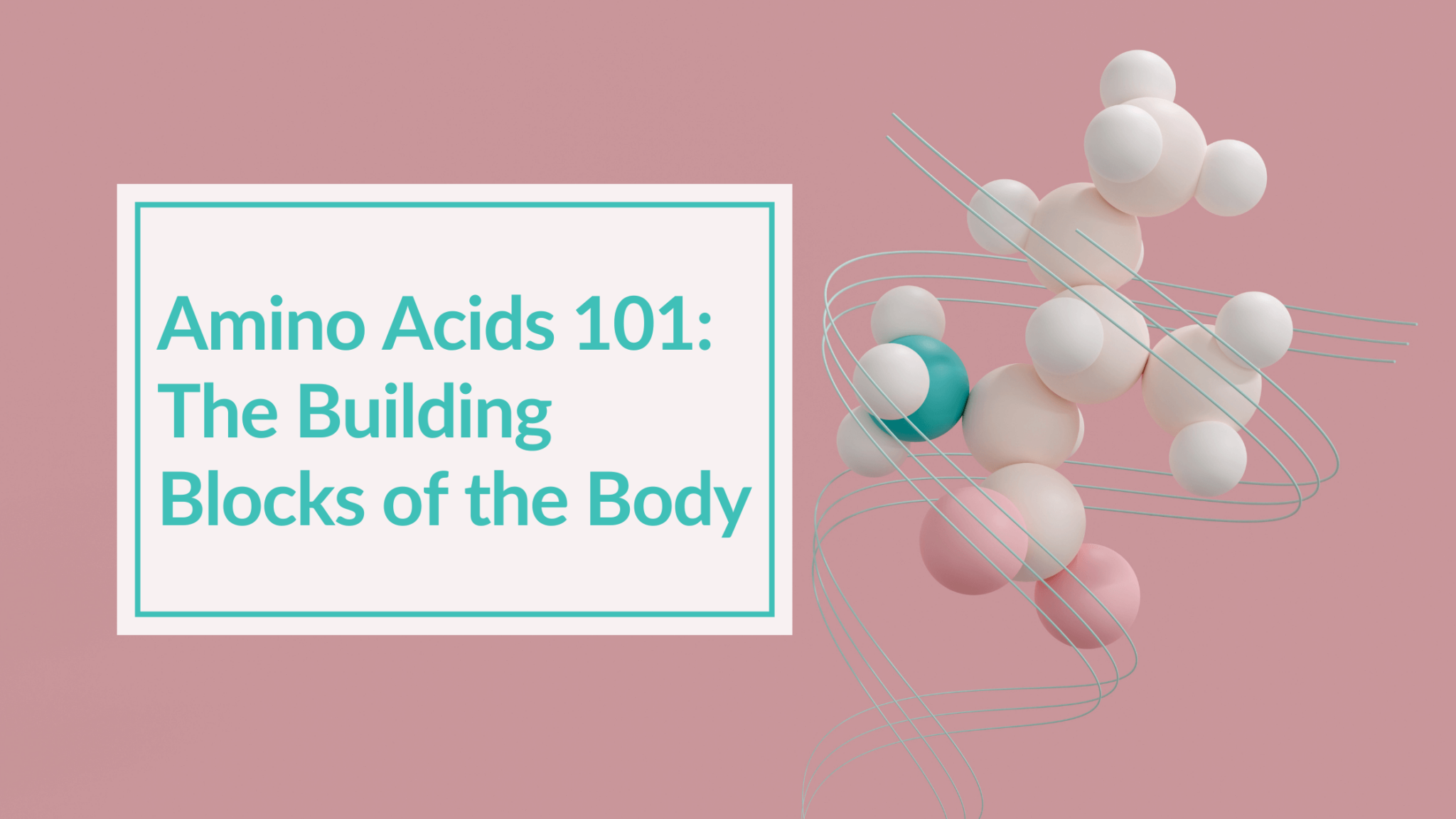 Amino Acids 101: The Building Blocks of the Body - CBH Energetics
