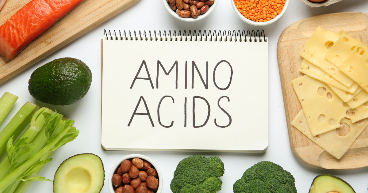 Amino Acids 101: The Building Blocks of the Body - CBH Energetics
