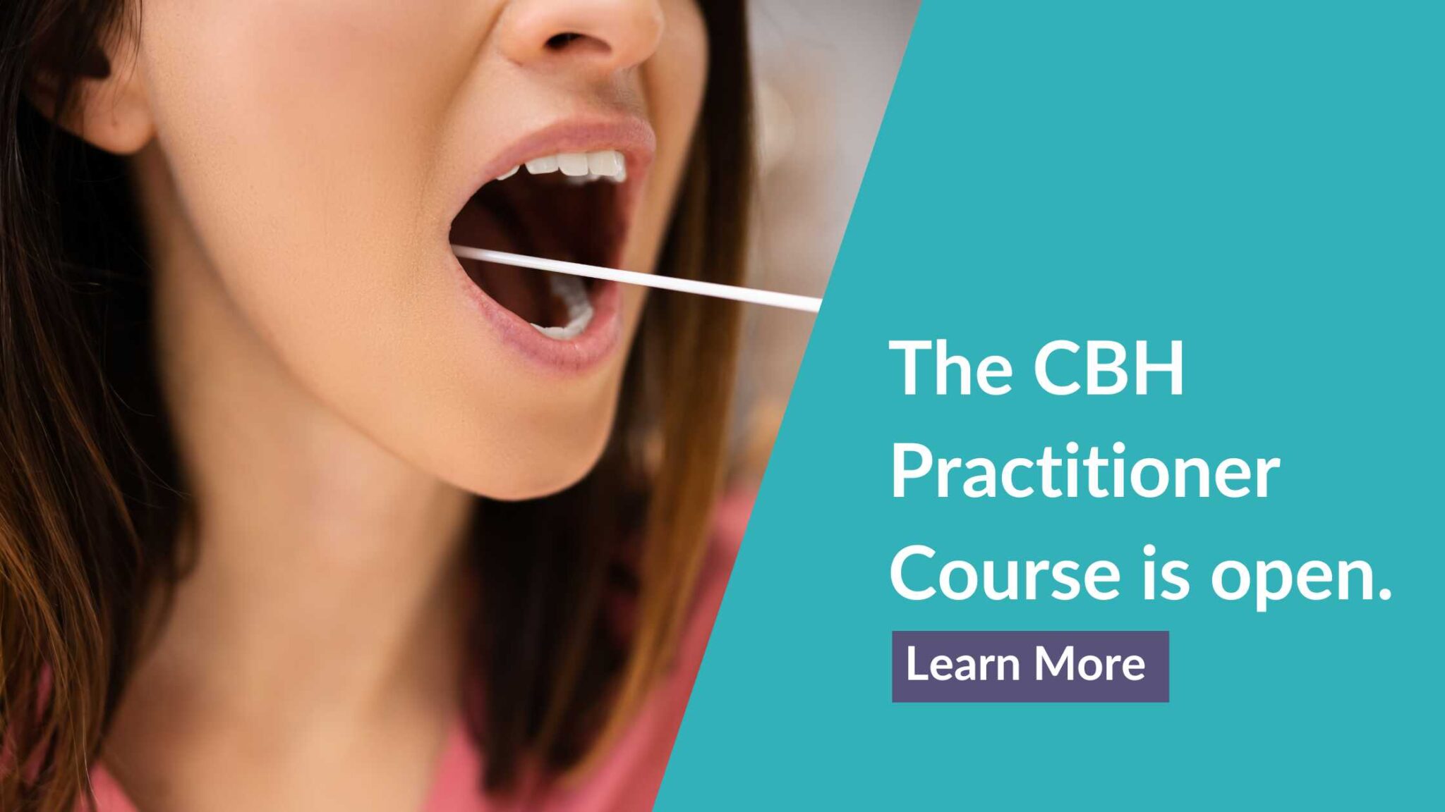 The Role of the Spleen in the Immune System - CBH Energetics