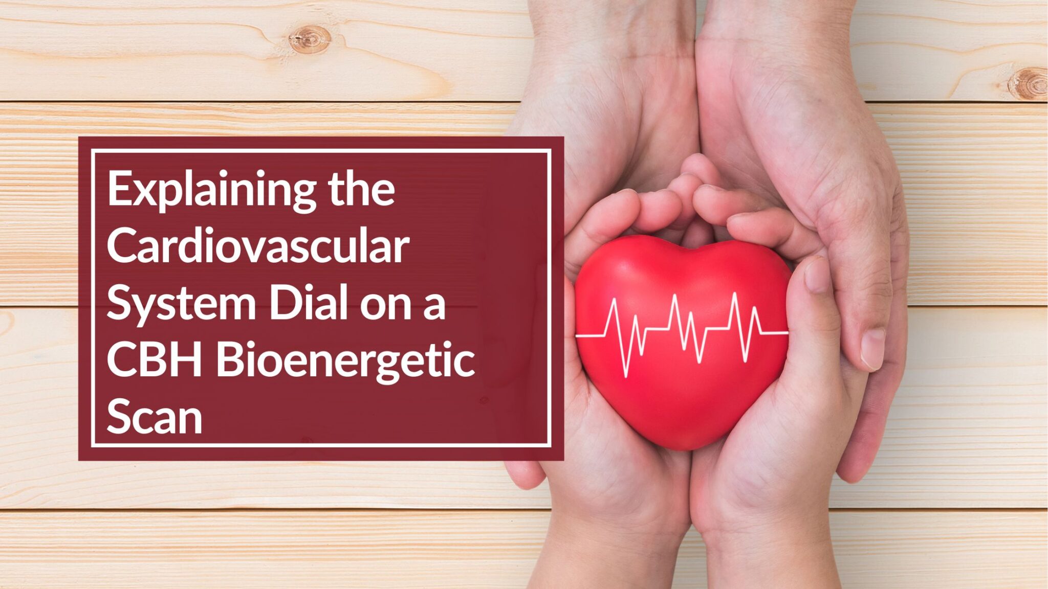 Explaining the Cardiovascular System Dial on a CBH Bioenergetic Scan - CBH Energetics