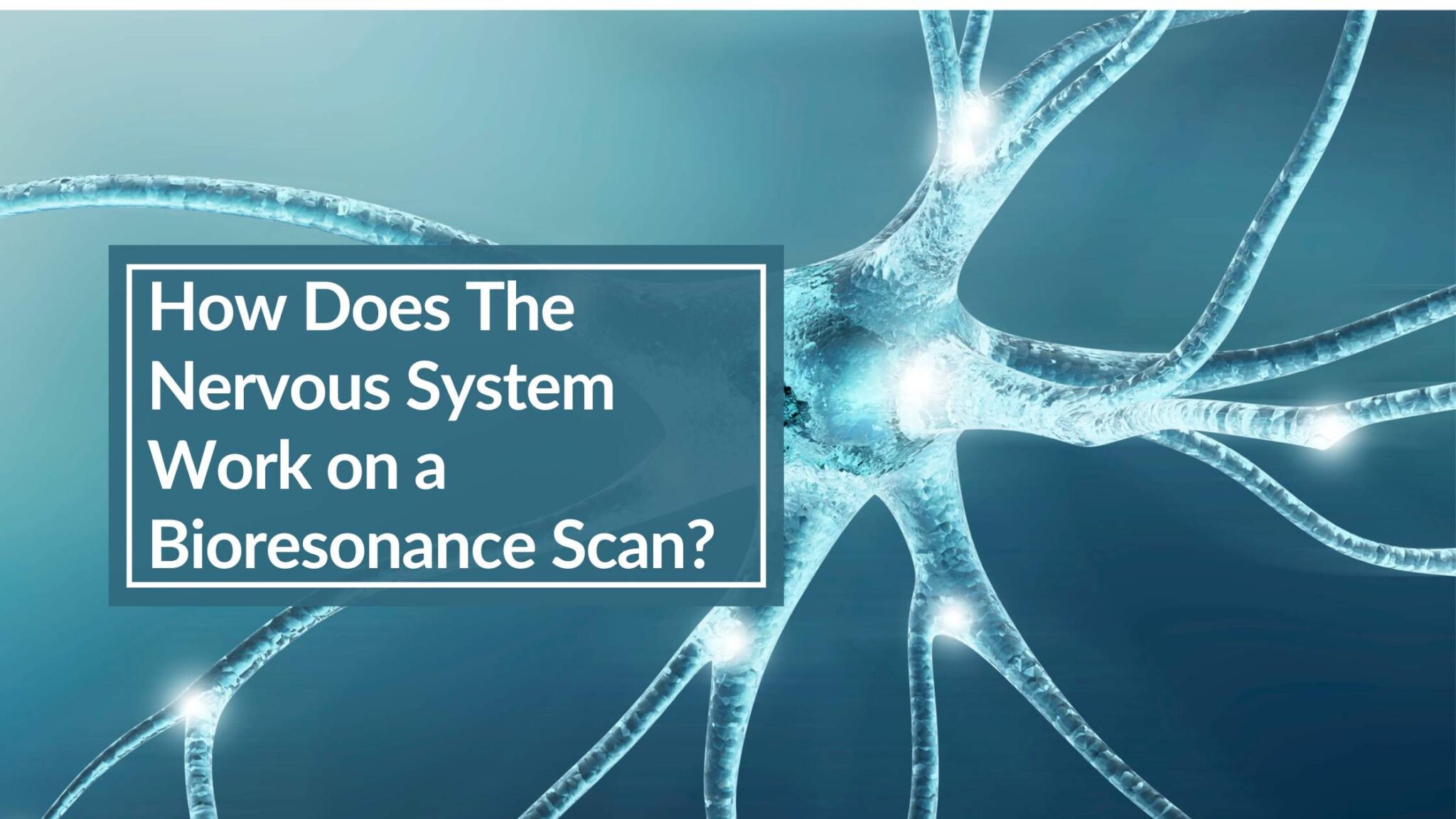 How Does The Nervous System Work on a Bioresonance Scan? - CBH Energetics