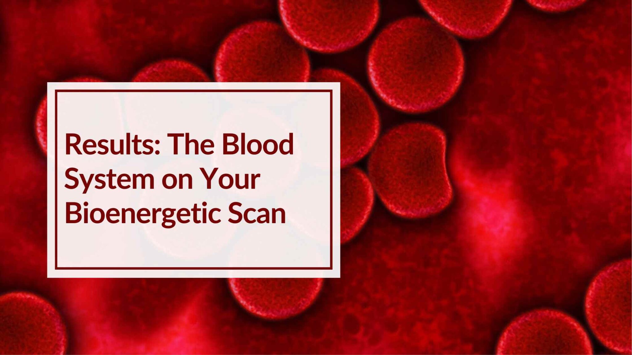 The Blood System and Your Health: Signs It’s Out of Balance - CBH ...