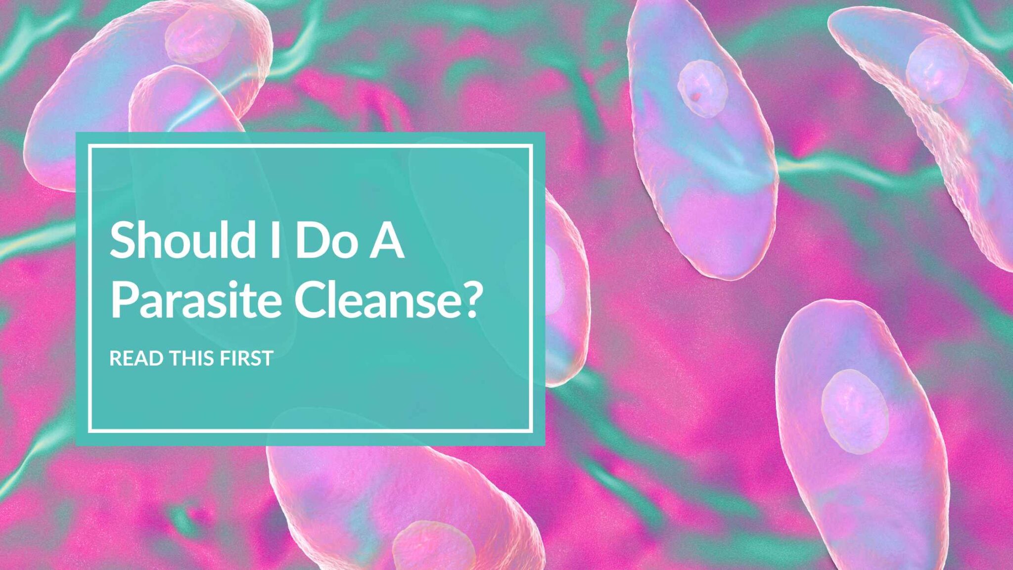 Should I Do a Parasite Cleanse? - CBH Energetics