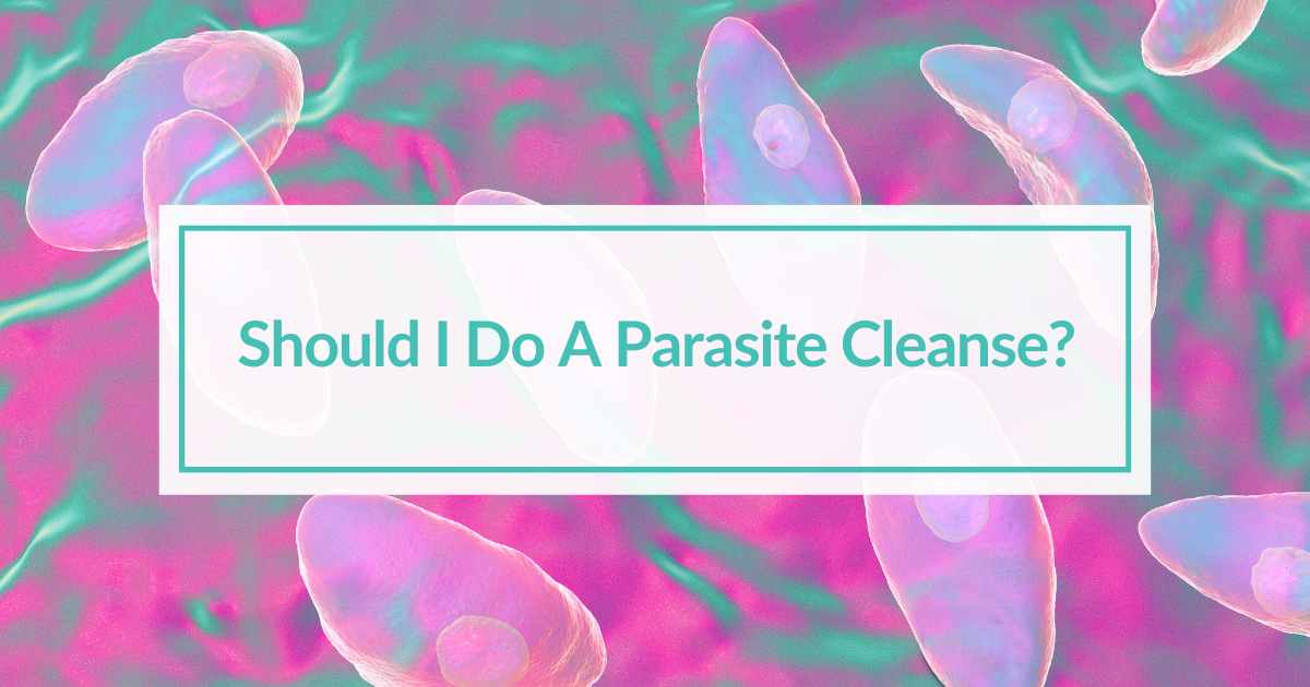 Should I Do a Parasite Cleanse? - CBH Energetics