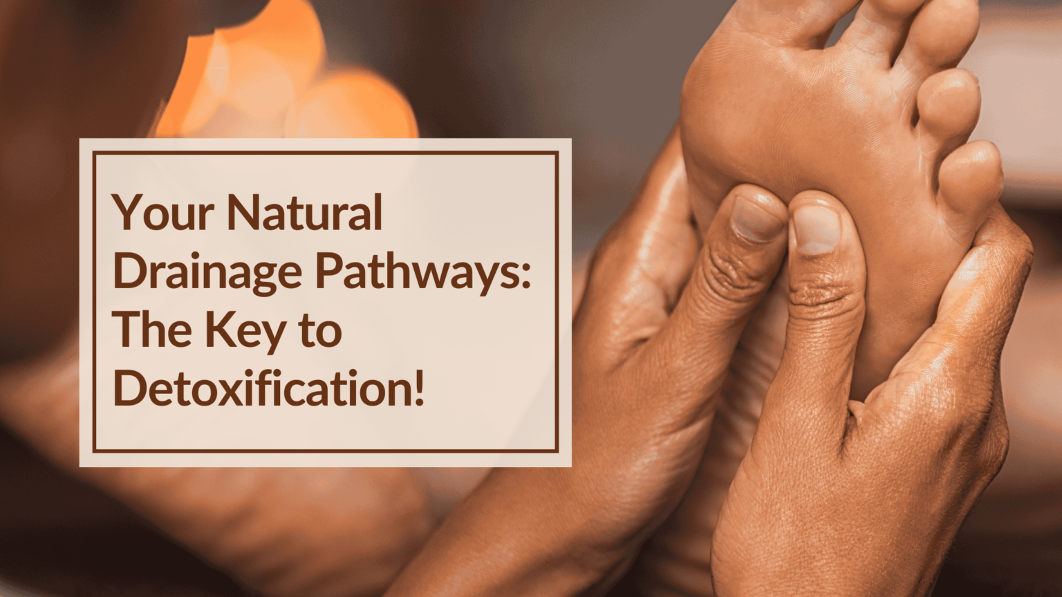 Natural Drainage Pathways: The Key to Proper Detoxification. - CBH ...