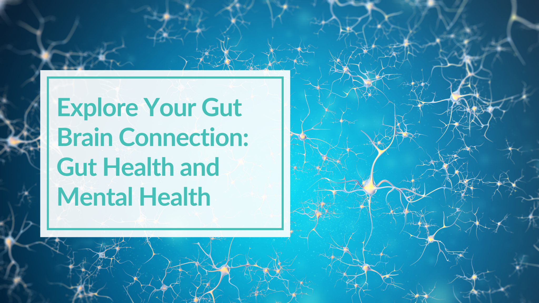 Is the Gut-Brain Connection Still Relevant? - CBH Energetics