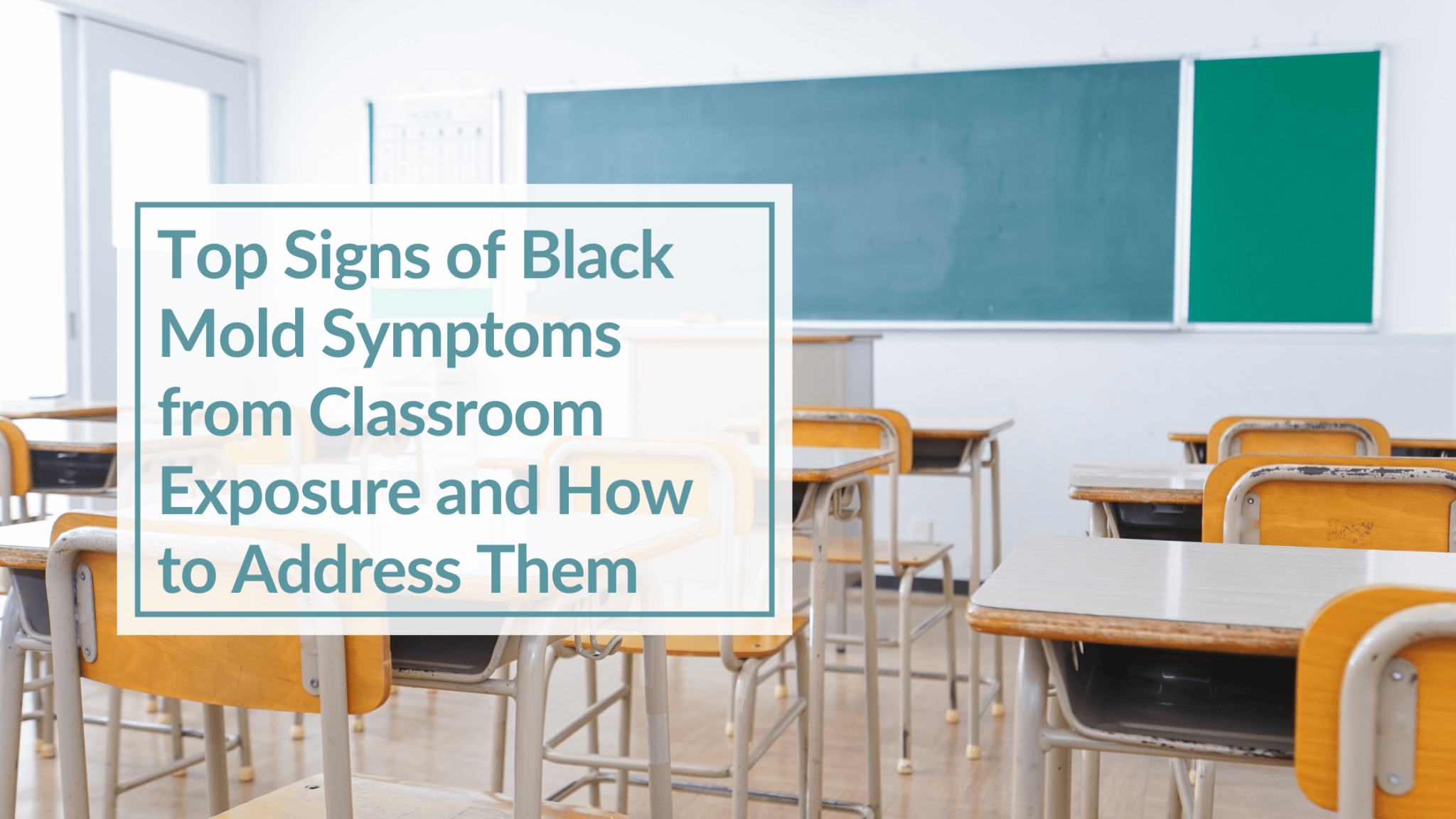 Top Signs of Black Mold Symptoms from Classroom Exposure and How to ...