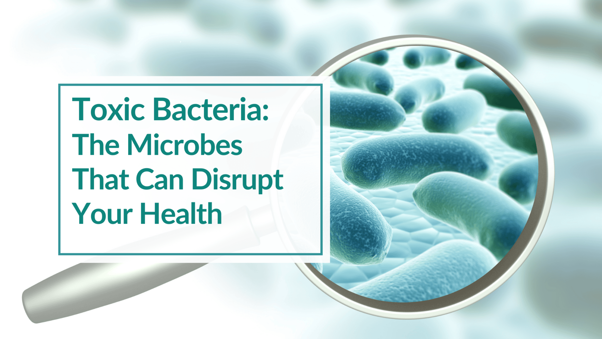 Toxic Bacteria: The Microbes That Can Disrupt Your Health - CBH Energetics