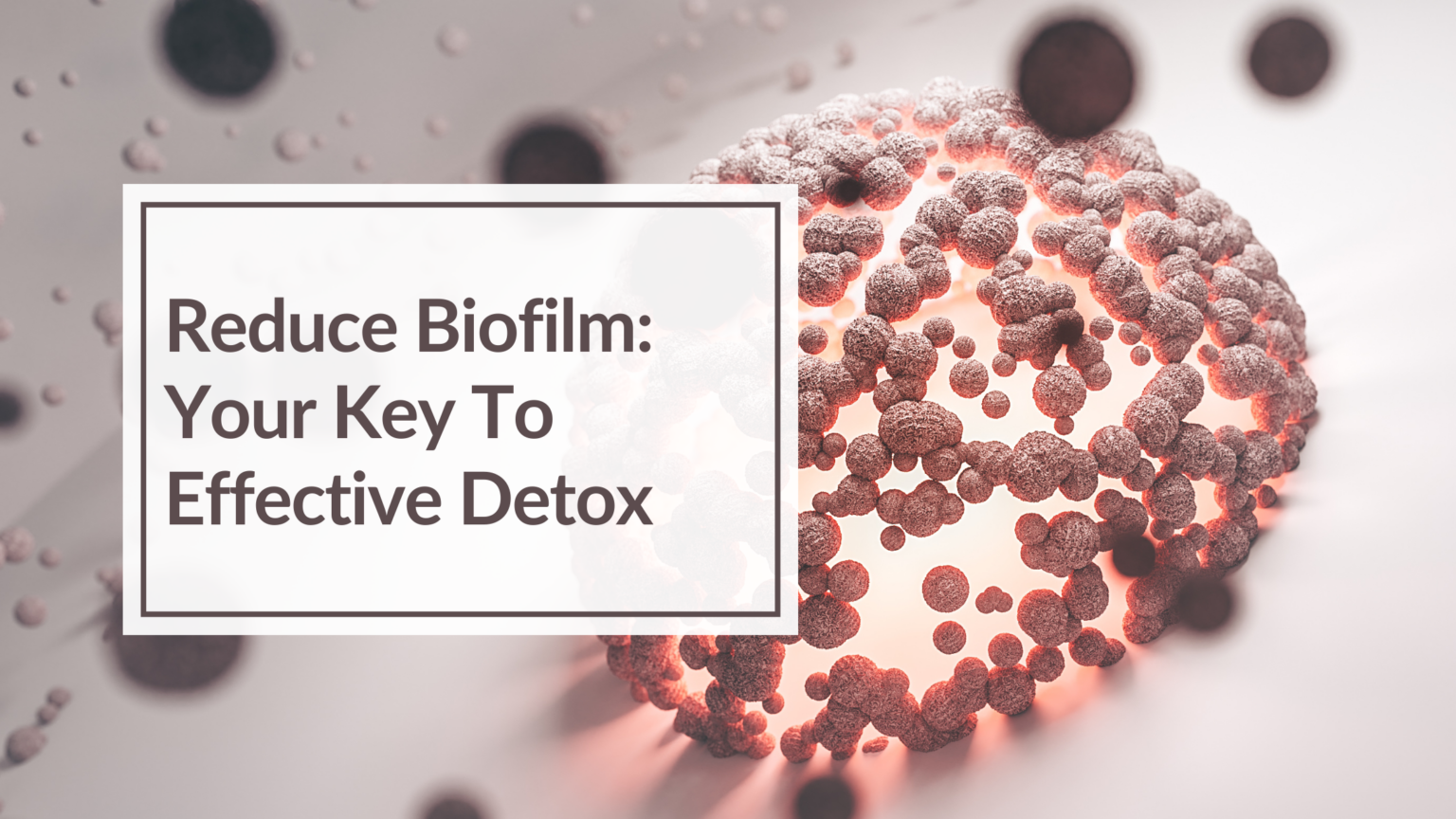 Learn How to Reduce Biofilm - CBH Energetics